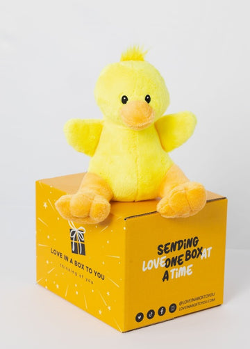 Cute Stuffed Animal Plush Care Packages in Australia | LoveInABoxToYou ...